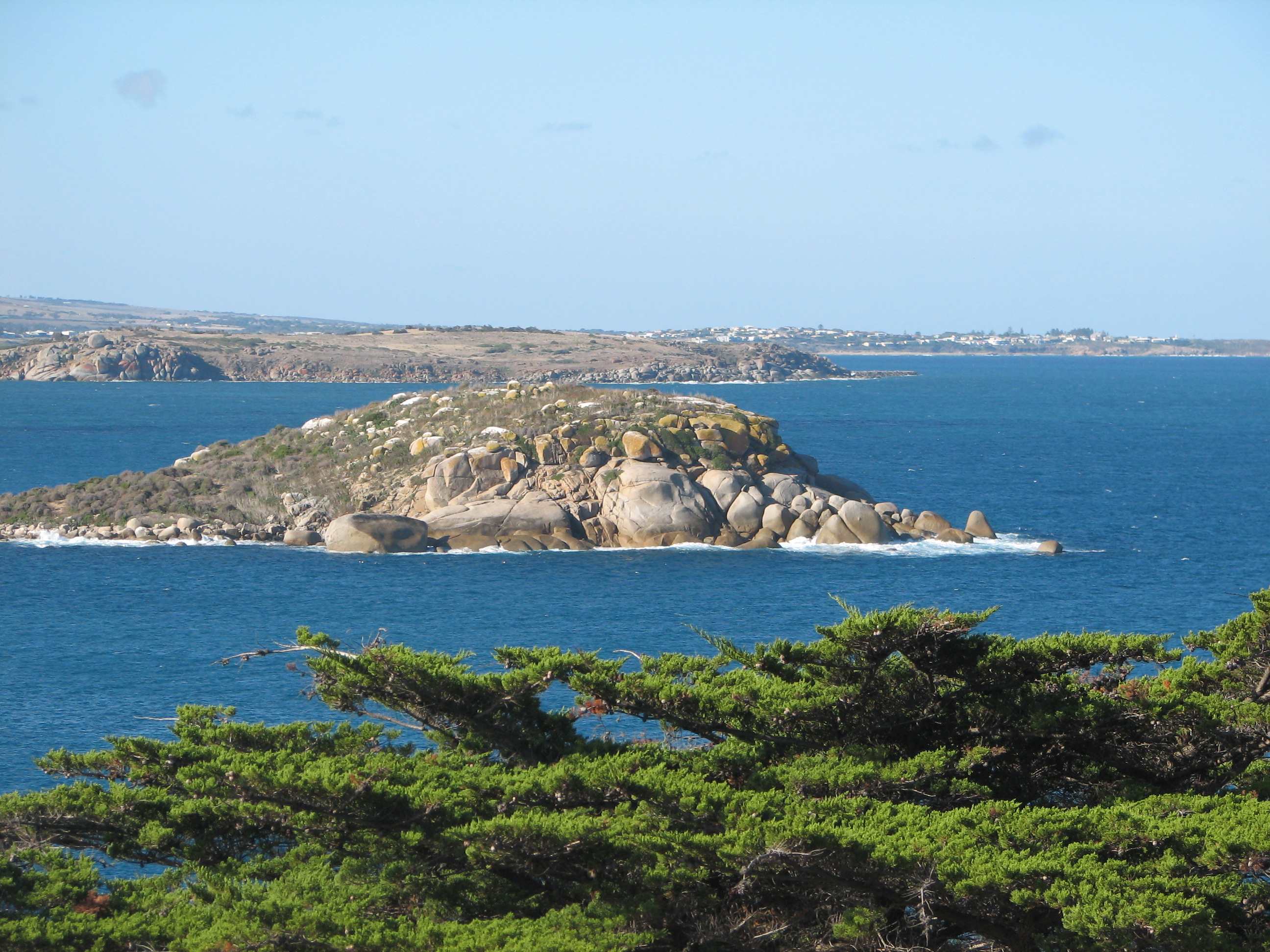 Encounter Bay, Victor Harbor, South Australia - Trevor's Birding