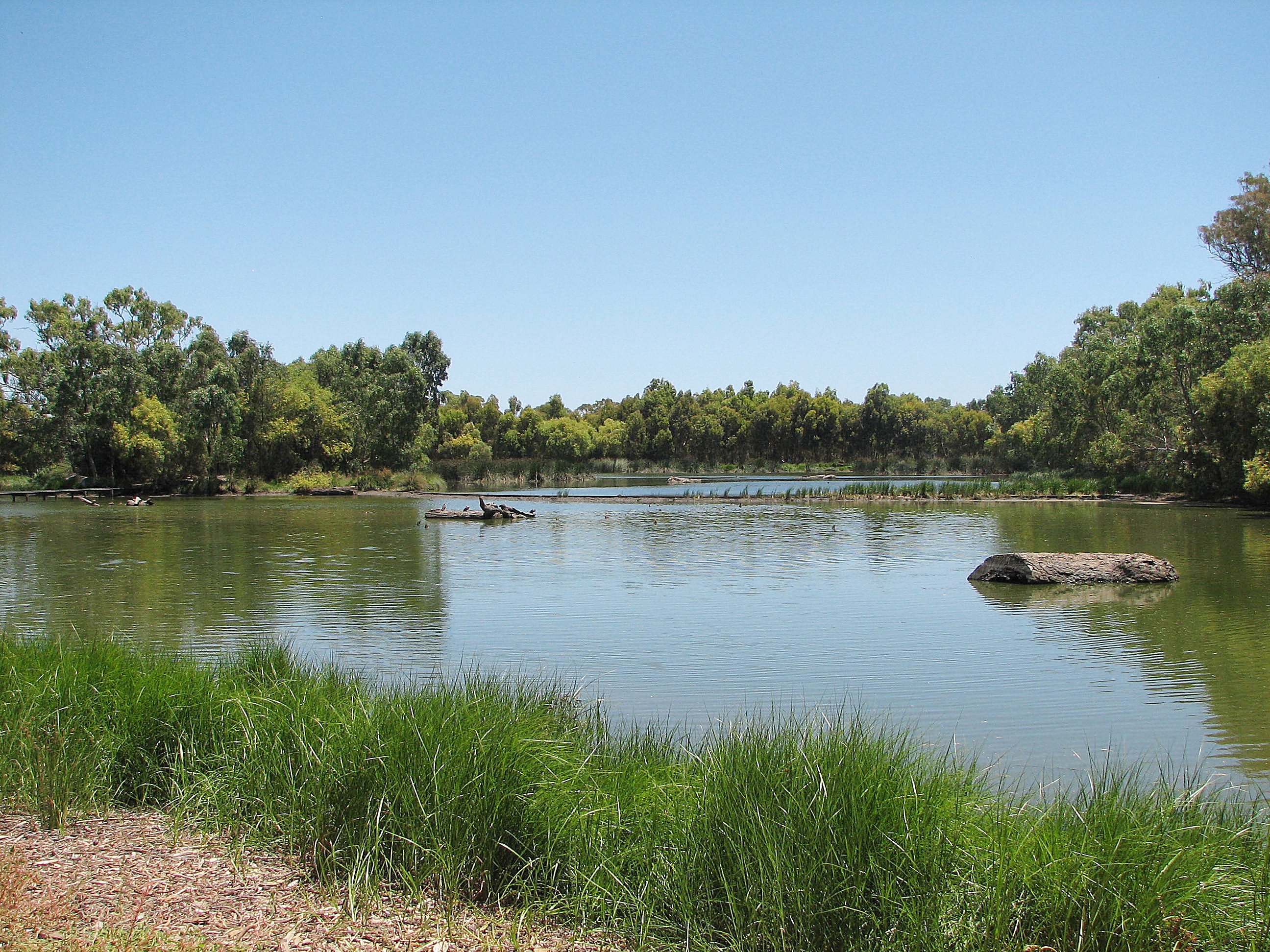 Laratinga Wetlands, Mt Barker, South Australia - Trevor's Birding