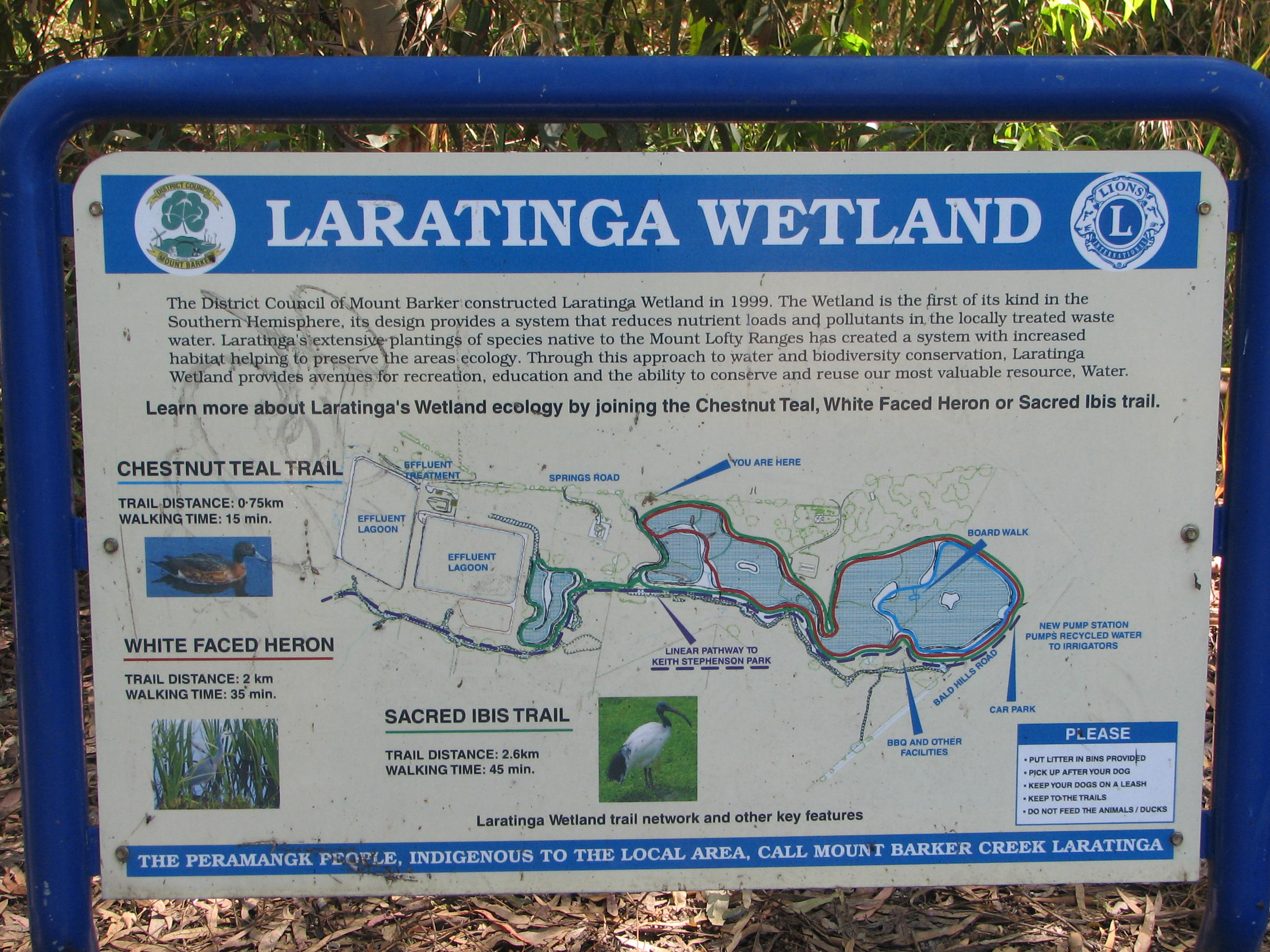 Laratinga Wetland, Mt Barker, South Australia - Trevor's Birding