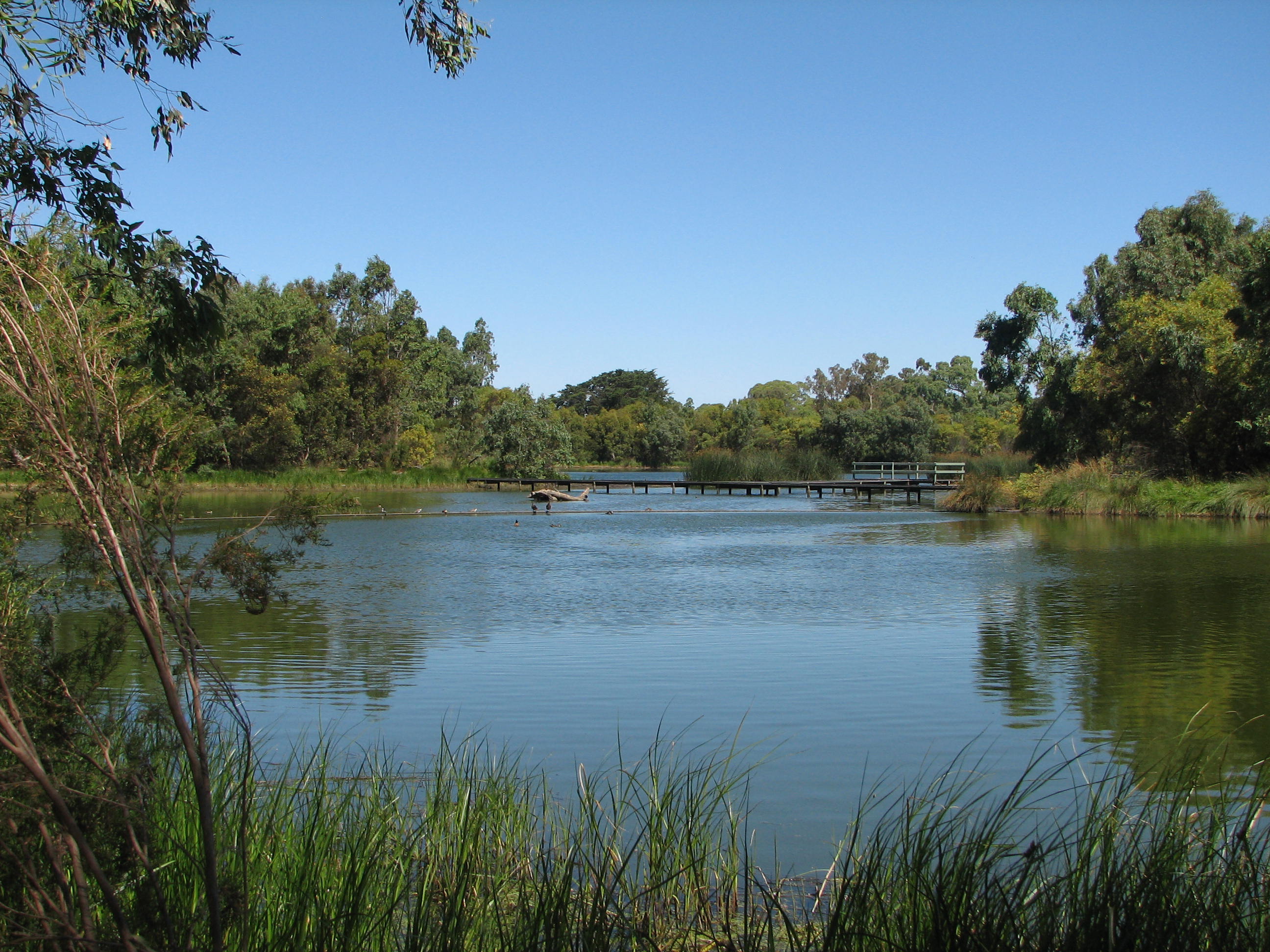 Laratinga Wetlands, Mt Barker, South Australia - Trevor's Birding