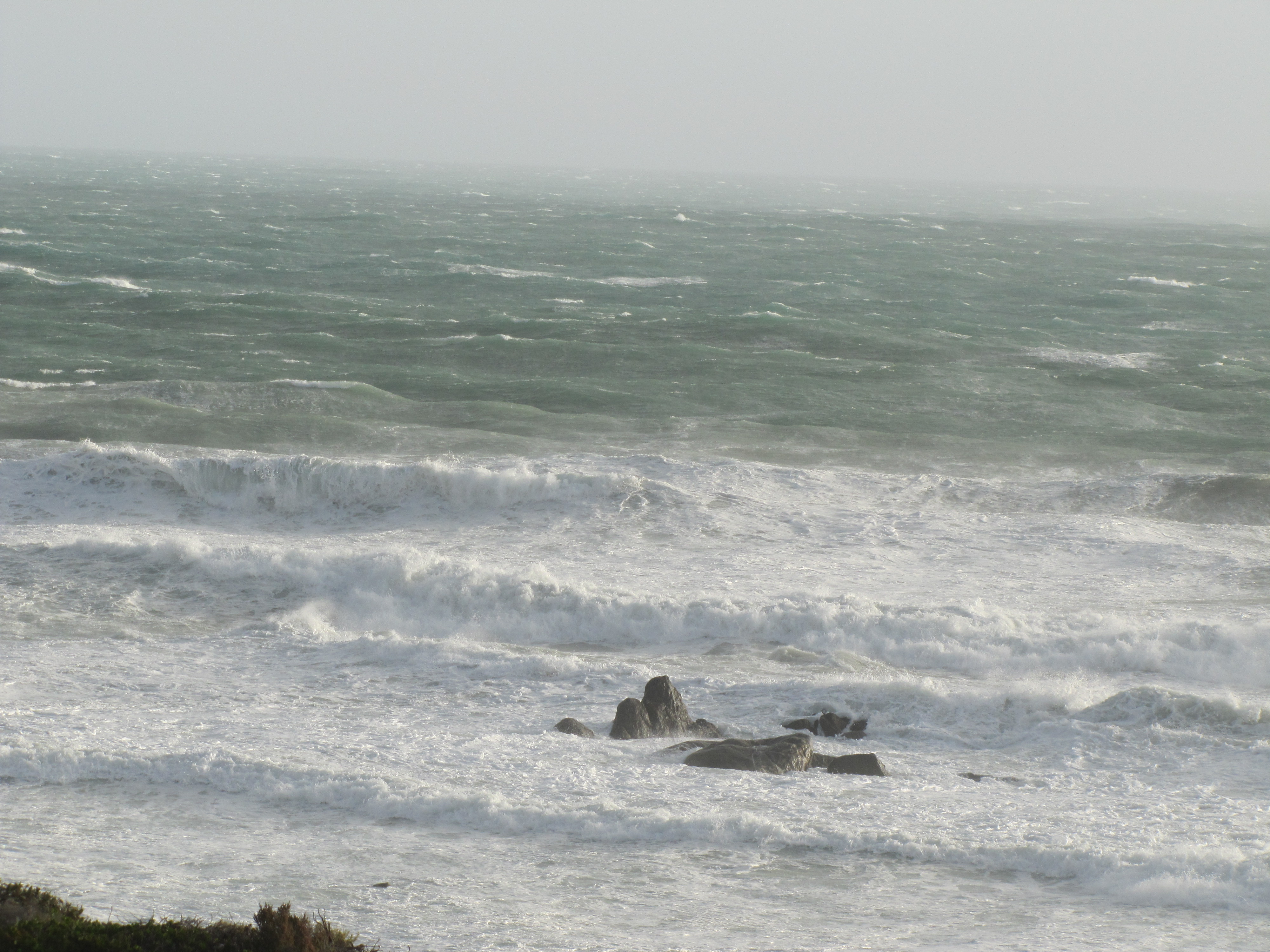 Corny Point, Yorke Peninsula - Trevor's Birding
