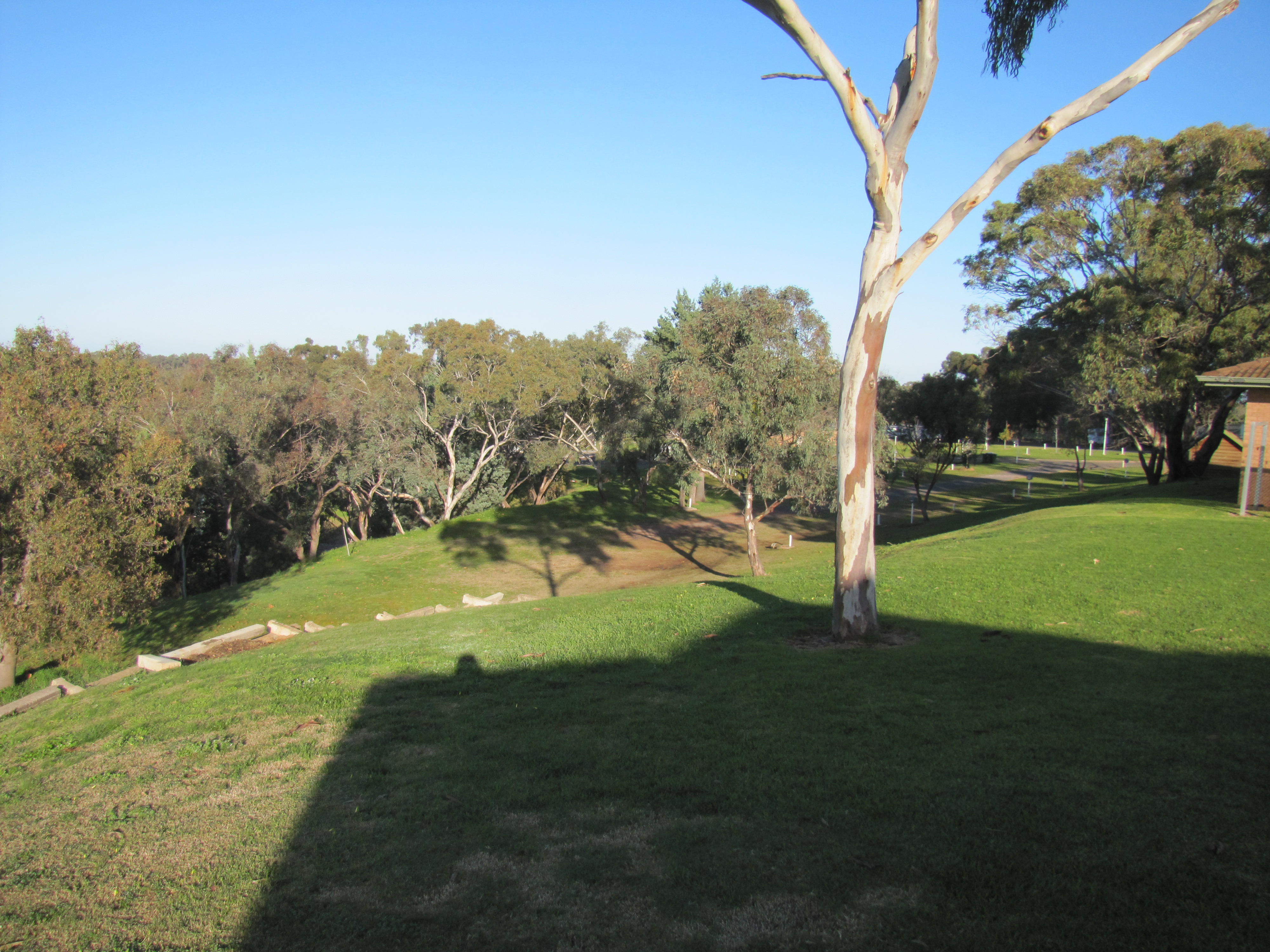 Lake Talbot Tourist Park, Narrandera, NSW - Trevor's Birding