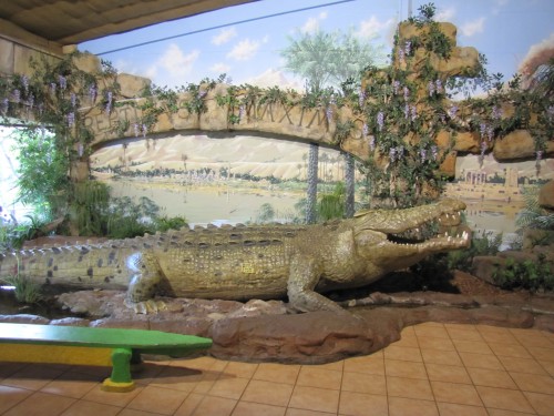 A family visit to the Australian Reptile Park - Trevor's Birding